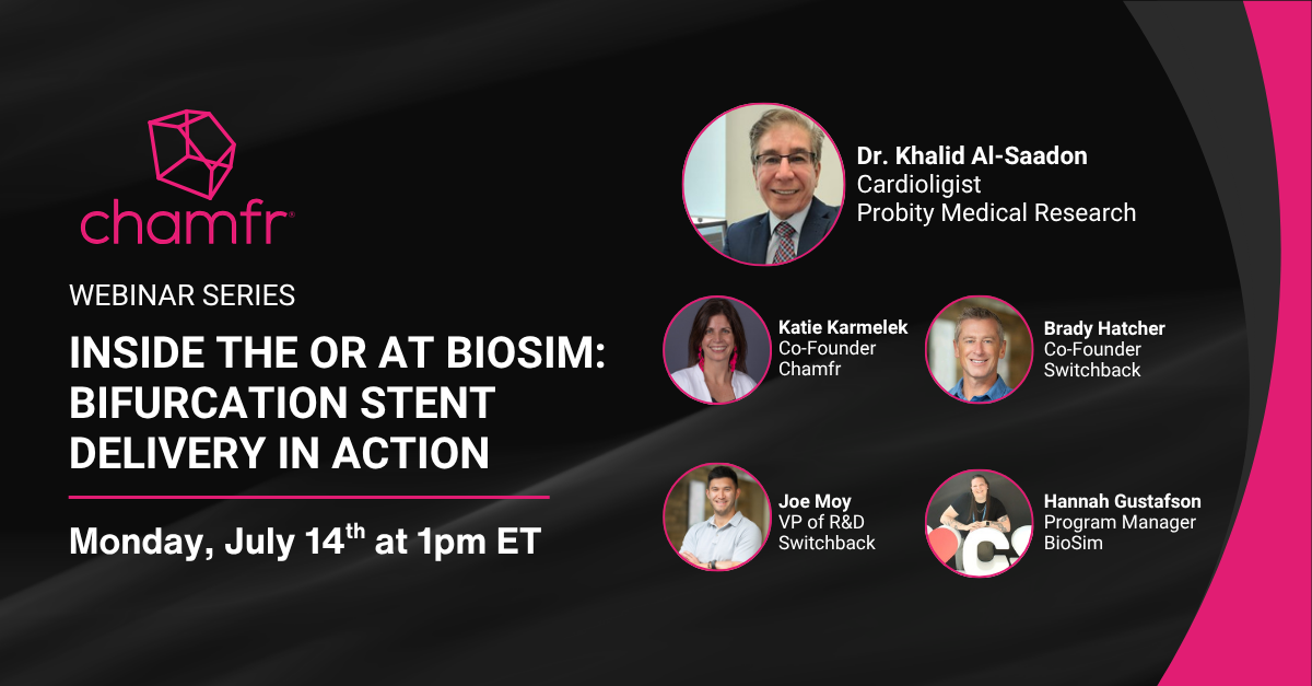 Bifurcation Stent Delivery System at BioSim Webinar